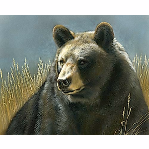 Black Bear 36"x44" Portrait Panel Digitally Printed by David Textiles Sold by Panel