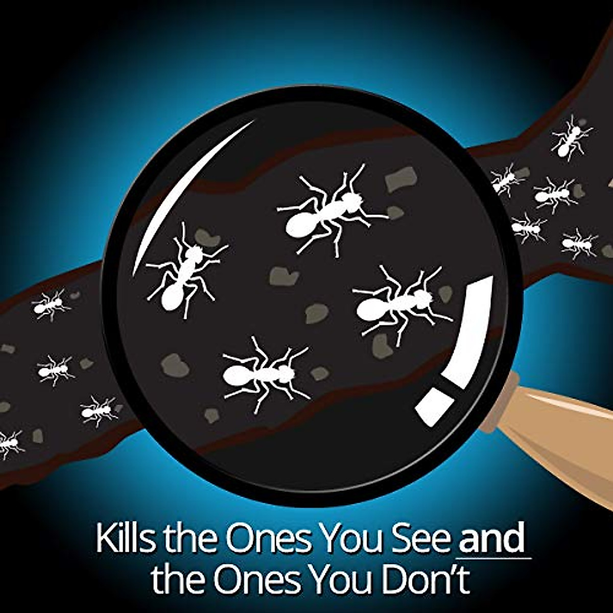 Combat Indoor and Outdoor Ant Killing Gel, 27 Gram (Pack of 2)