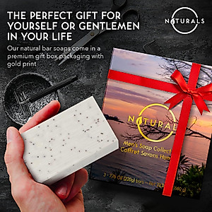 O Naturals Exfoliating Soap Bar Cedarwood - Natural Exfoliating Bar Soap - Heavy Grit Mens Soap - Apricot Kernels Bar Soap - Bar Soap for Men - Mens Soap Bar - Soap for Men Face Soap Bar Mens Bar Soap