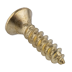 #6 x 5/8" Brass Oval Head Phillips Wood Screws - Pack of 25 - Self Tapping Screws for Wood - OH658-SB