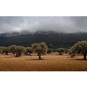 OLIVIEU ~ Olive Wood Cutting Boards with Juice Rim ~ Serving Board ~ Charcuterie Board (21 inch ~ big)