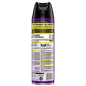 Raid Flea Carpet & Room Spray, Defense System for Fleas & Ticks, 16-Ounce Spray (Pack of 2)