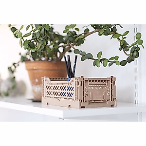 Aykasa Collapsible Storage Bins, Plastic Crate for Storage, Collapsible Crate, Utility Stackable Box, Collapsible storage box, Milk crate Collapsible storage (Small, Milk tea)