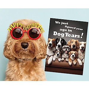 Gooji 5x7 Dogs Birthday Card, Funny Humorous Cute Card for Wife Husband Teenage Young Boy Girl Men Women Adult, Golden (Age)