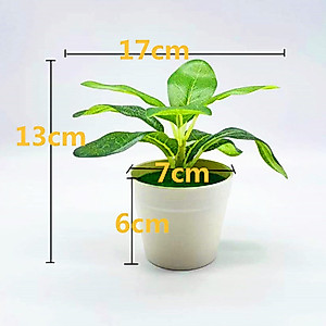 Angel3292 Artificial Potted Plant Realistic Plastic Eye-Catching Imitative Bonsai Plants for Home Potted Plant Delicate for Garden