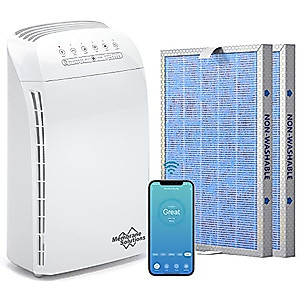 MSA3S Smart Air Purifier with Two Extra Original MSA3S Replacement Filter