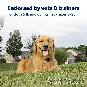PetSafe Stay & Play Wireless Pet Fence Receiver Collar Only for Dogs and Cats, Waterproof and Rechargeable, Tone and Static Correction - From The Parent Company of INVISIBLE FENCE Brand