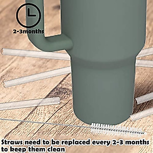 6Pcs Replacement Straws for Stanley Water Bottles, Plastic Straws Reusable Cleaning Brush Compatible with 14/20 /30/40 OZ Water Bottle, Cup Straws Drinking Reusable, Bottle Accessories (White)