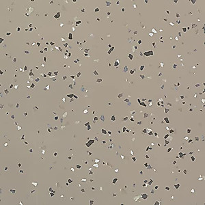 Rust-Oleum 381087 RockSolid Polycuramine 2.5 Car Garage Floor Coating Kit, Modern Greige, 180 Fl Oz (Pack of 1)