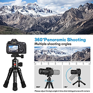 Tabletop Tripod, 20 inch Portable Desktop Mini Tripod for Camera with 360 Degree Ball Head, Aluminum Small Travel Tripod, Compatible with DSLR Camera/Video Camcorder/Cell Phone/Spotting Scope (Black)