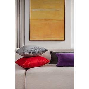 DEZENE Decorative Pillow Cases 20x20 Light-Grey: 2 Pack Cozy Soft Velvet Square Throw Pillow Covers for Farmhouse Home Decor