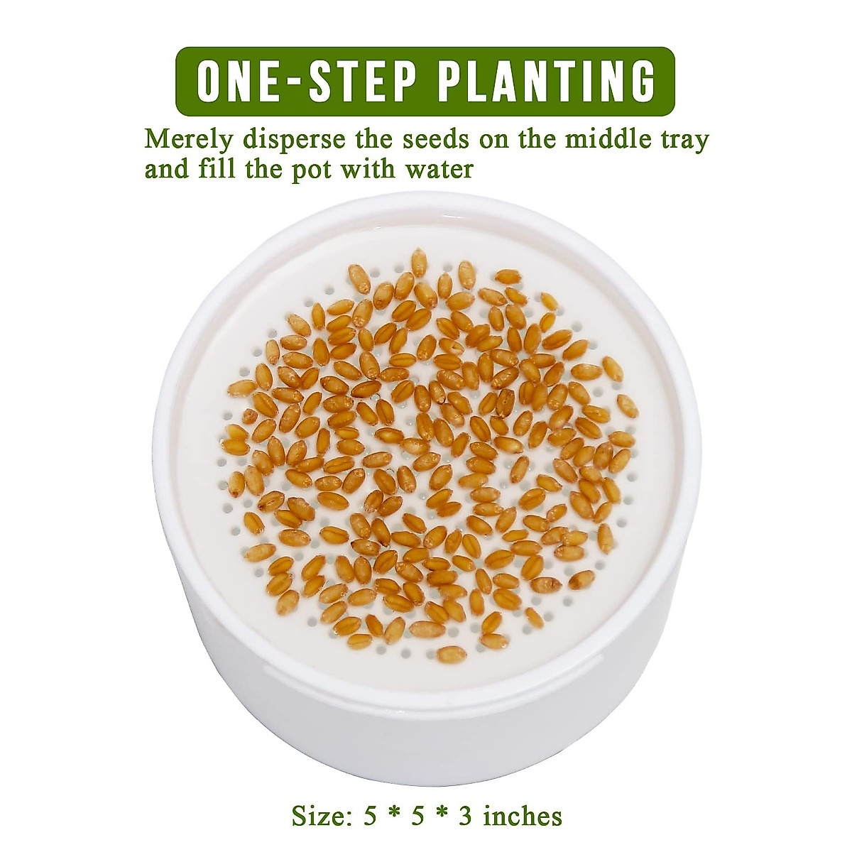 BENPIN 2Pcs Hydroponic Cat Grass Planter (no Seeds Included), Soil Free, No Dirt No Mess No Smell, Anti Digging Design, Easy to Plant Cat Grass Kit, Cat Grass for Indoor Cats Pets (Matte White)