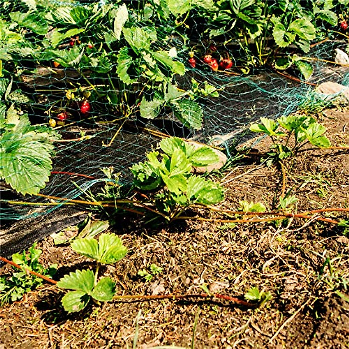 IME Garden Staples U Shaped Ground Anchors Stakes Pegs Pins Spikes for Securing Lawn Farm Sod Barrier Landscape Grass Fabric Netting, More Applications 15CM