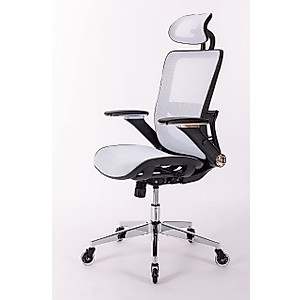 Ergonomic Mesh Office Chair - Gaming Chair,Adjustable Rolling Home Desk Chair with 4D Flip Armrests and Headrest, Adjustable Lumbar Support and Blade Wheels Backrest and Headrest (Black)