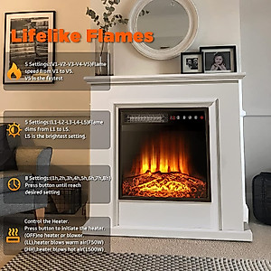 BOSSIN 18 Inch Electric Fireplace Insert with LED Realistic Flame,Small Recessed Fireplace Heater with Touch Screen&Remote Control,Portable Compact Fireplace with Adjustable Flame, Timer 750/1500W
