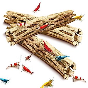 SunGrow Cholla Wood, 5” Climbing Logs, Chew Toy, Aquarium Fish, Snail & Shrimp Driftwood, Décor Adds Raw Beauty, 3 Pack