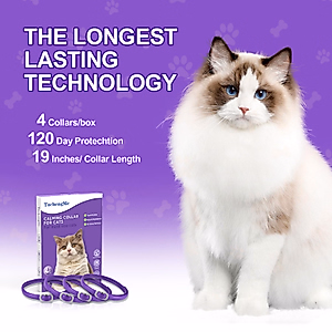 TachengMc Calming Collar for Cats, 4 Pack Cat Calming Collar, Effective Relief Ancxiety Stress Cat Pheromone Collar, Water-Resistant & Adjustable Cat Calming Collar Fits Cats, Purple