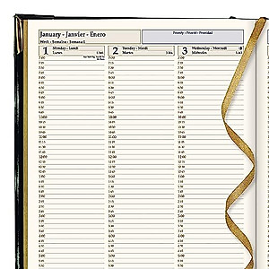 Brownline 2024 Executive Weekly Planner, Appointment Book, 12 Months, January to December, Sewn Binding, 10.75" x 7.75", Trilingual, Assorted Colors, 1 Count (CBE512.ASX-24)