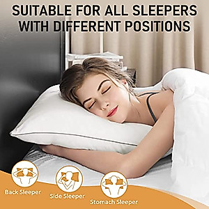 downluxe Premium Down Feather Pillow Luxury Hotel Collection - Bed Pillow for Sleeping with Silver Piped Edges, King Size (20"×36", Pack of 2)