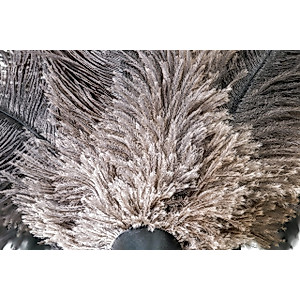 ROYAL DUSTER Black Ostrich Feather Duster (14")