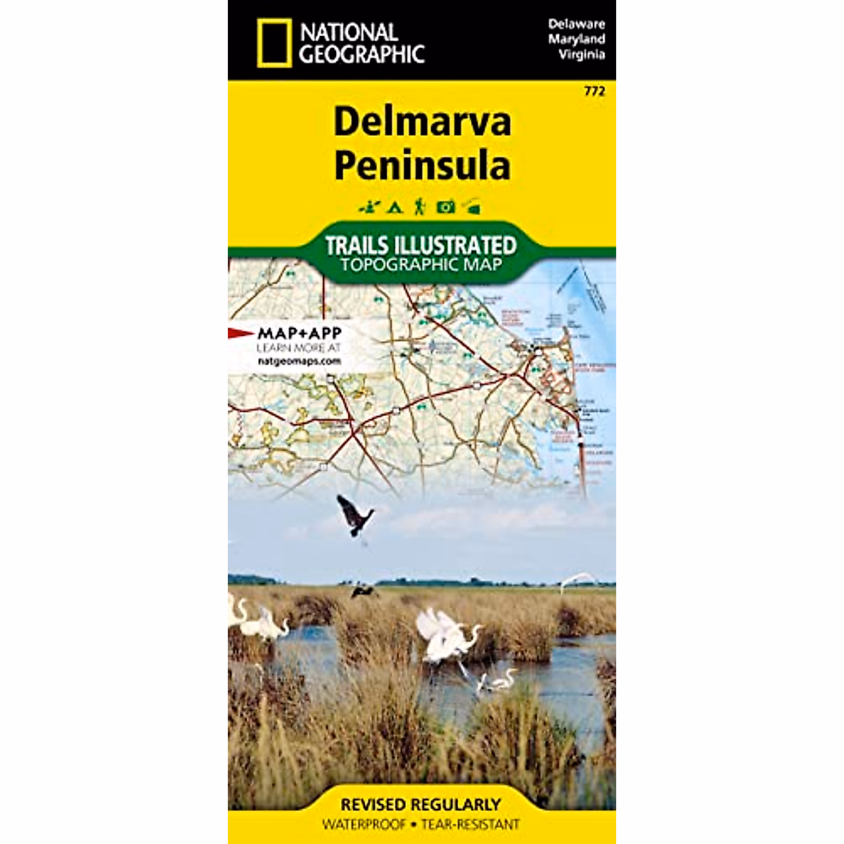 Delmarva Peninsula Map (National Geographic Trails Illustrated Map, 772)