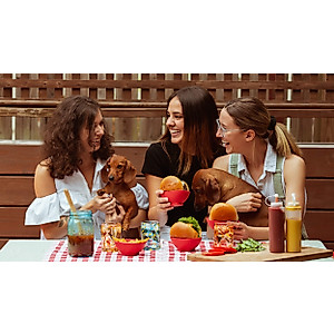 Burger Buddy Sandwich Holders 4 Pack, Flexible Silicone Bowls for Holding Hamburgers, Sloppy Joes, BBQ and Snacks, Heat Resistant and Microwave Safe, Reusable