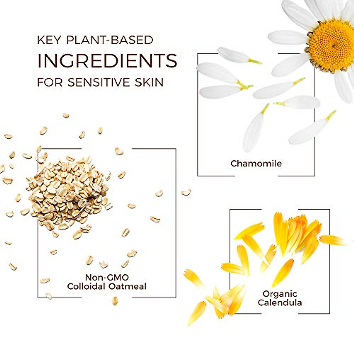 Babo Botanicals Moisturizing Plant-Based 2-in-1 Bubble Bath & Wash - with Organic Calendula & Natural Oat Milk - For Babies, Kids & Adults with Sensitive Skin - Hypoallergenic & Vegan - 15 oz