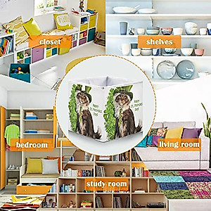 Cat Leprechaun Storage Basket Storage Bin Rectangular Collapsible Nursery Baskets Shelves Cloth Baskets Organizer for Kids Room Bedroom