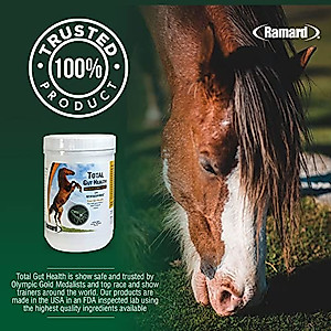 Ramard Total Gut Health Horse Supplement for Digestion, Horse Powder Supplement for Gastrointestinal Health & Total Gut Balance, Equine Feed Powder Horse Gut Health Supplement - 1.12lb, 30-Day Supply