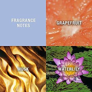 Curve Women's Perfume, Eau de Toilette EDT Spray, 3.4 fl oz