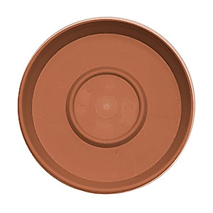 Bloem Terra Pot Round Drain Saucer: 16" - Terra Cotta - Tray for Planters 11-16", Matte Finish, Durable Resin, Ribbed Bottom, for Indoor and Outdoor Use, Gardening, Planter Not Included