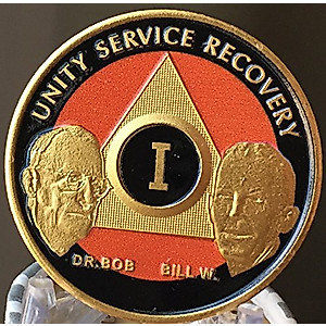 1 Year Founders AA Medallion HD Orange Black Gold Plated Bill & Bob Chip
