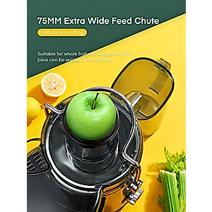Juicer Machines, FOHERE 1000W Juicer Whole Fruit and Vegetables, Quick Juicing Easy to Clean, 75MM Large Feed Chute, Dual Speed Setting and Non-Slip Feet, Silver