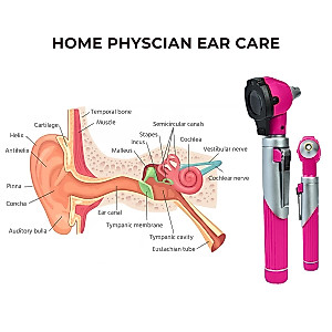 Mini Otoscope with Light Ear Infection Detector and Pocket Ear Scope | Suitable for Kids, Adults, Doctors - Available in Multiple Colors (Pink)