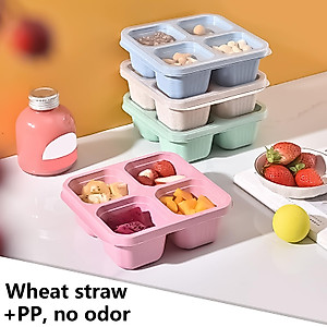 Guaber Multicolored Compartmental Food Storage Container, Reusable Meal Preparation, 4-Compartment Snacks Box, Plastic, Green, Flip Top, 16.5x15.5x5.5cm/6.49x6.10x2.16inch