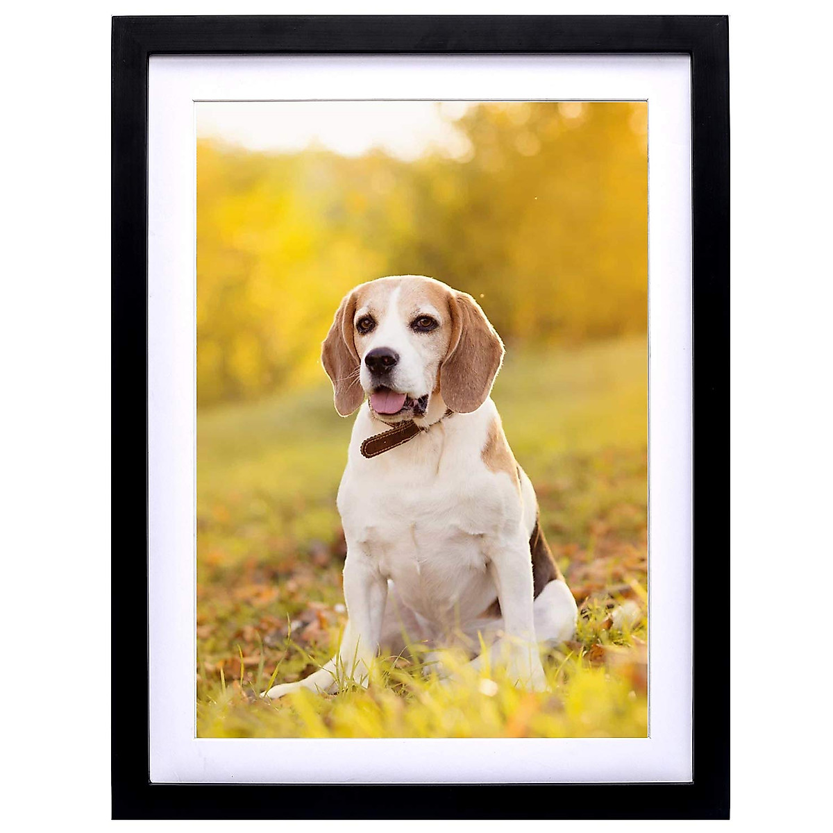 IOOSTAR 12x16 Diamond Painting Picture Frame Display Pictures 10 x 14 inch/25x35 cm with Mat or 12 x 16 inch/30x40 cm Without Mat Photo Frames Diamond Art Frame Natural Solid Wood Black (YNCK002)