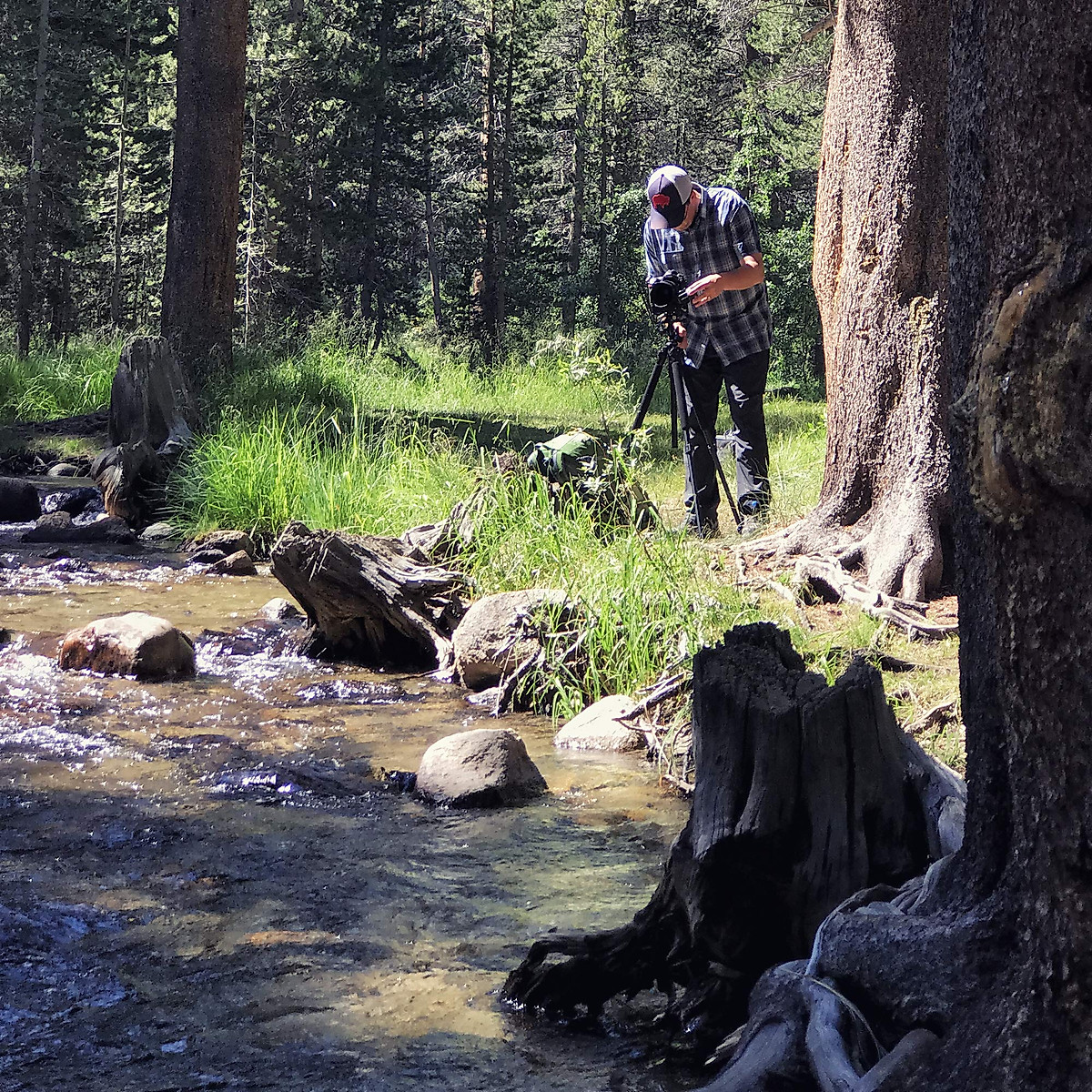 SLIK PRO 330SVH Aluminum Tripod with SVH-501 Compact Fluid Video Head for Mirrorless/DSLR Sony Nikon Canon Fuji Cameras and More - Black (613-354)