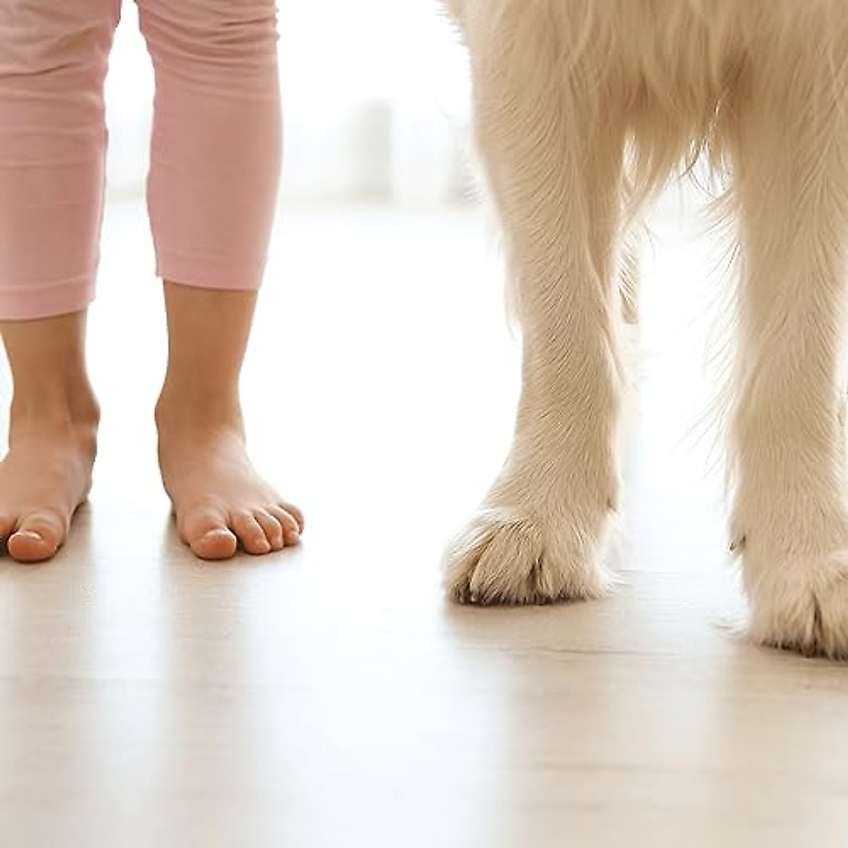 QuietWalk LV Luxury Vinyl, Laminate, or Wood Underlayment (Float, Glue, or Nail) w/Vapor Barrier- Sound Reduction, Compression Resistant, Moisture Protection 6'x60’ Roll (Covers 360 sf) QW360LV