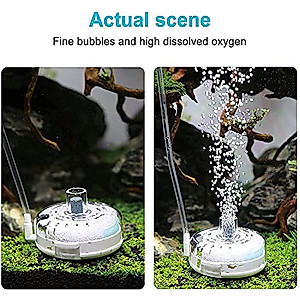 UPETTOOLS Mini Aquarium Sponge Filter，Small Internal Fish Tank Filter Sui for 2-6 Gallon Tank