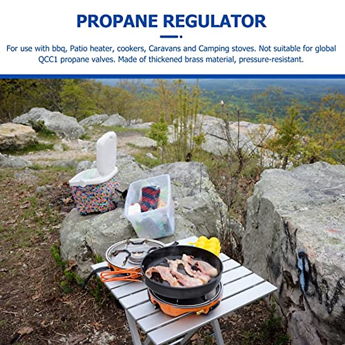 Totority Propane Propane Tank Regulator Tank Low Pressure Gas Regulator Gas Regulator& Pigtail Kit Household Gas Valve Gas Pressure Reducing Gas Grill Regulator Valve Gas Regulator