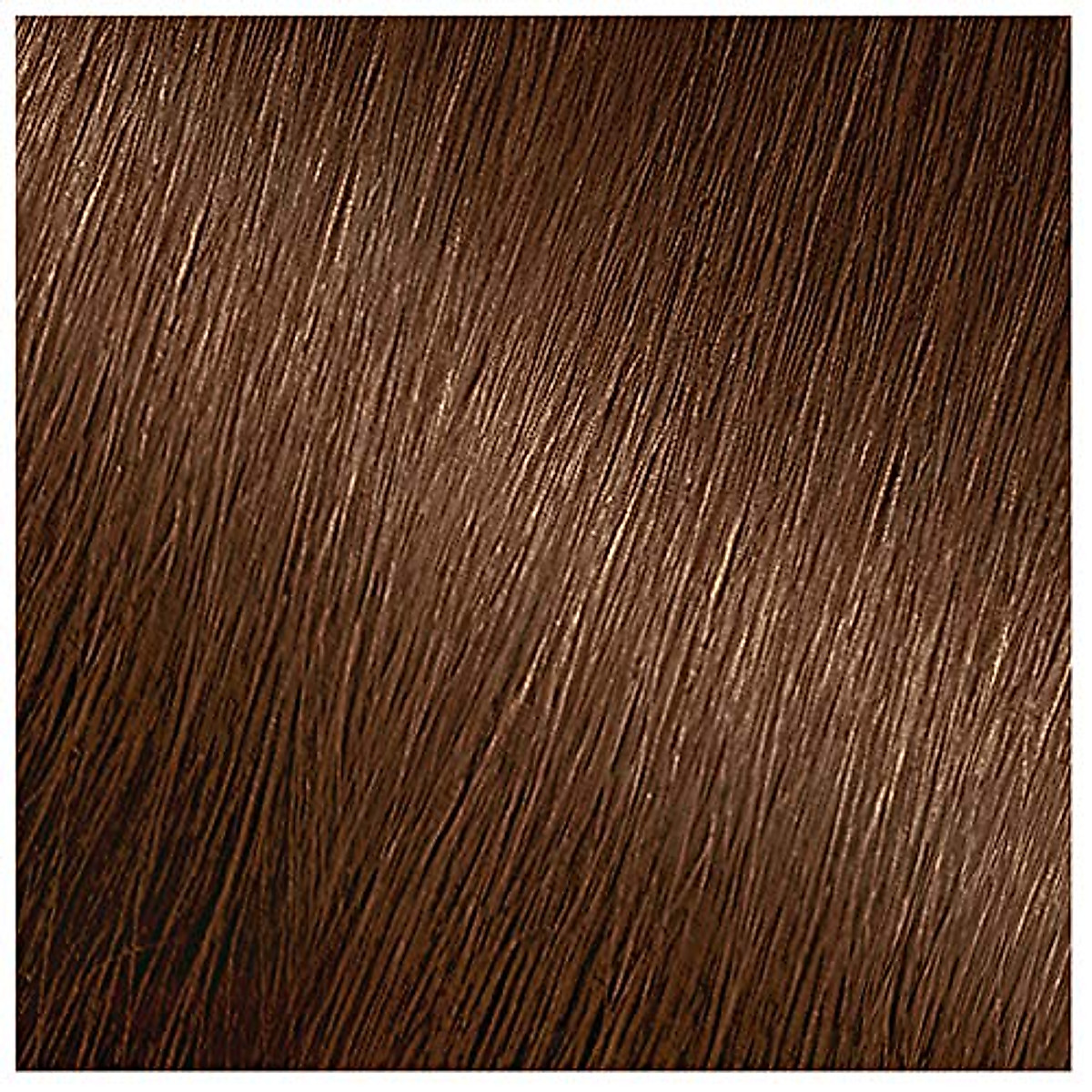 Garnier Hair Color Nutrisse Ultra Coverage Nourishing Creme, 530 Deep Medium Golden Brown (Chestnut Praline) Permanent Hair Dye, 3 Count (Packaging May Vary)