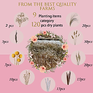 120 Pcs Natural Dried Pampas Grass Bouquet Boho Home Decor Dried Flowers for Fall Decor Bouquet Wedding for Centerpiece Table Decor Rustic Farmhouse Party Decor