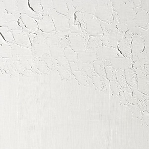 Winsor & Newton Griffin Alkyd Fast Drying Oil Paint, 200ml (6.75-oz) tube, Titanium White