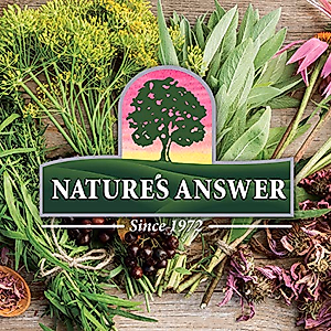 Nature's Answer Goldenseal Root | Herbal Supplement | Supports A Healthy Immune System | Gluten-Free & Alcohol-Free 1oz