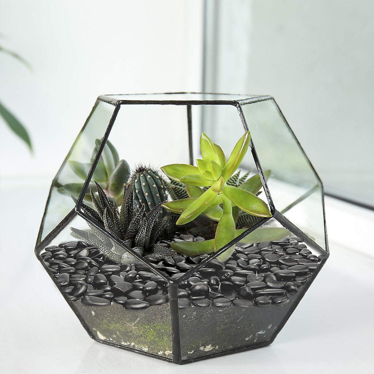 OUPENG Black Small Pebbles - Decorative Gravel Rock Plant Stones,Natural Polished Stones 3/8" Succulent Gravel,Pebbles Gravel for Bamboo Plants,Succulent,Home Decor,Landscaping,Vase Fillers.1.5lbs