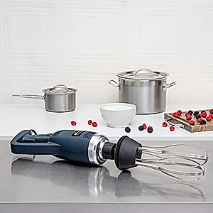 Restaurantware Hi Tek Stainless Steel Whisk - Fits Variable Speed Immersion Blender - 10" - 1 count box,Silver