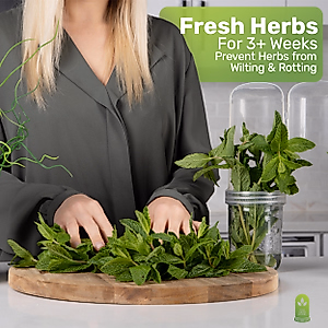 The Herb Angel Mason Jar Herb Lid - Fresh Herb Keeper - Herb Saver Pod for Cilantro, Parsley, Basil, Chives, Mint and More - Herb Storage Container for Refrigerator