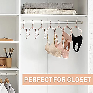 Exttlliy Metal Underwear Bra Rack Durable Fashion Children Clothes Hangers Hook Lingerie Shop Display Hanger with Clips (Rose Gold, 10PCS)