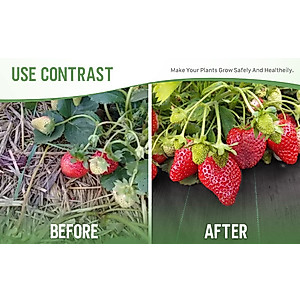 LGJIAOJIAO 3ftx50ft Weed Barrier Landscape Fabric Heavy Duty，Weed Block Gardening Ground Cover Mat, Weed Control Garden Cloth ，Woven Geotextile Fabric for Underlayment，Commercial Driveway Fabric