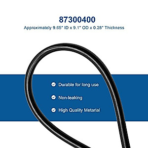 87300400 O-343 Body O-Ring for Pentair Pool & Spa Filter